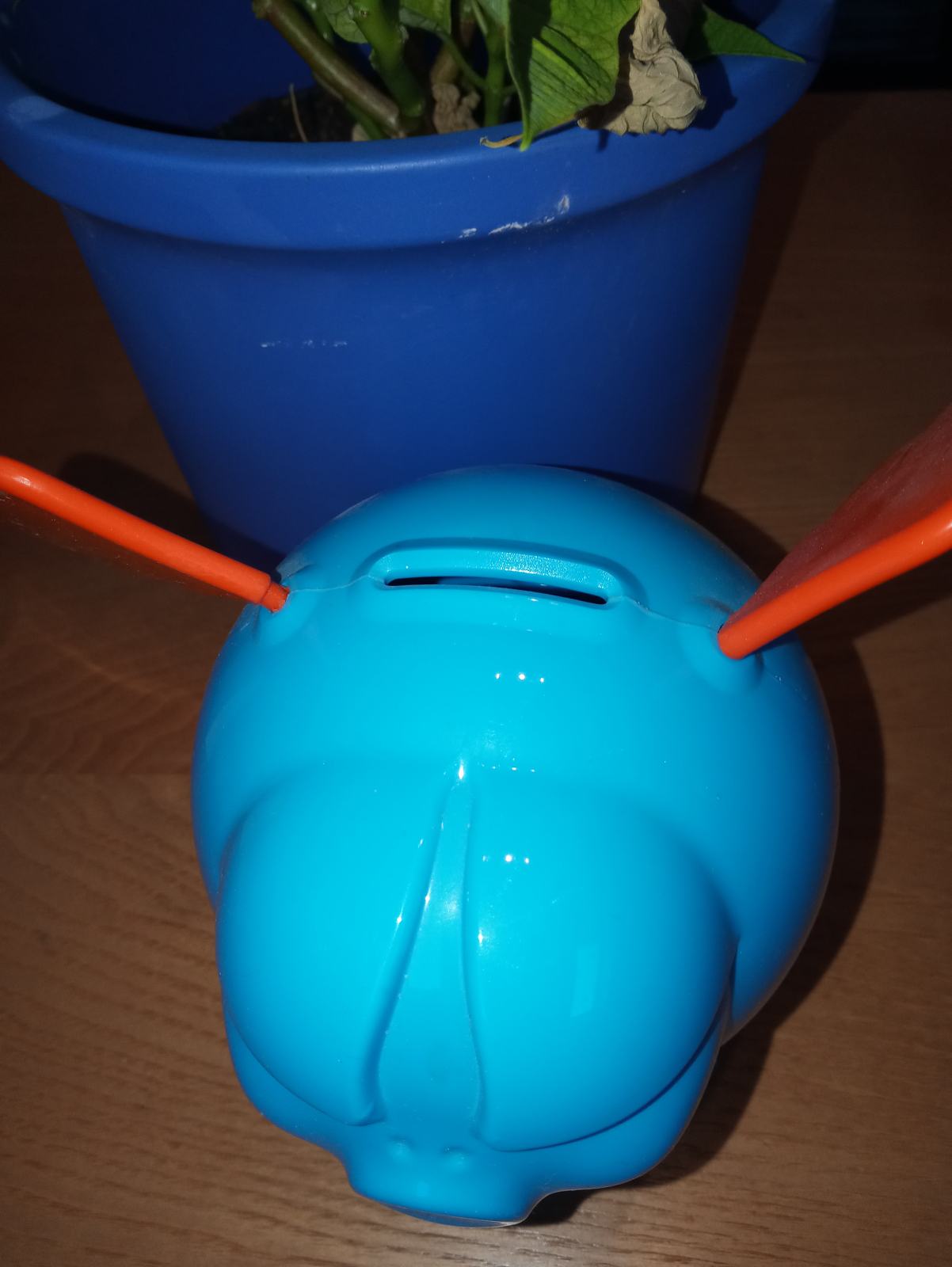 Prodam hranilnik za simbolično ceno