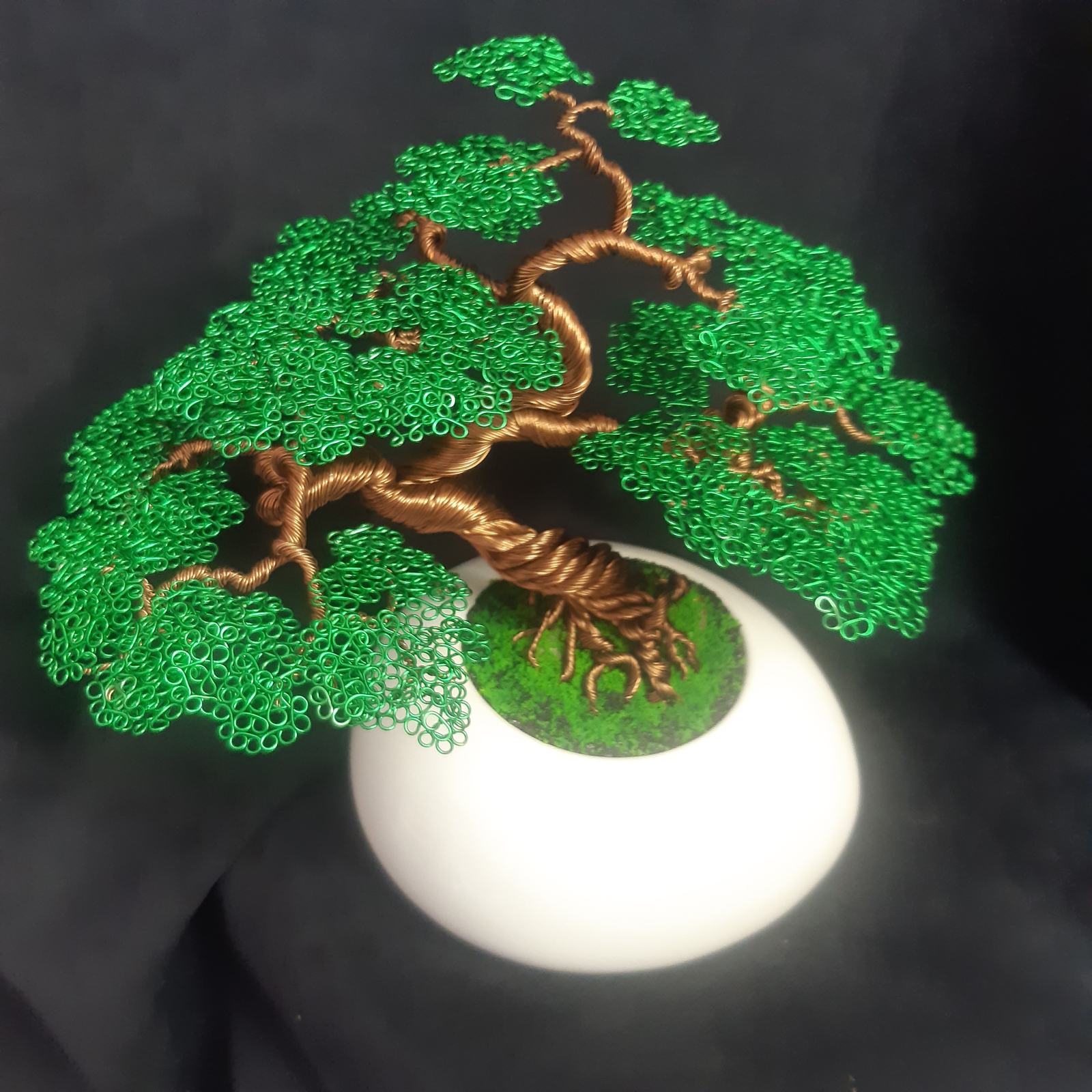 bonsai žično drevo