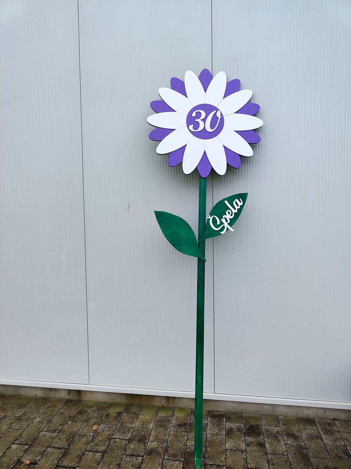 Lesena roža 30 let