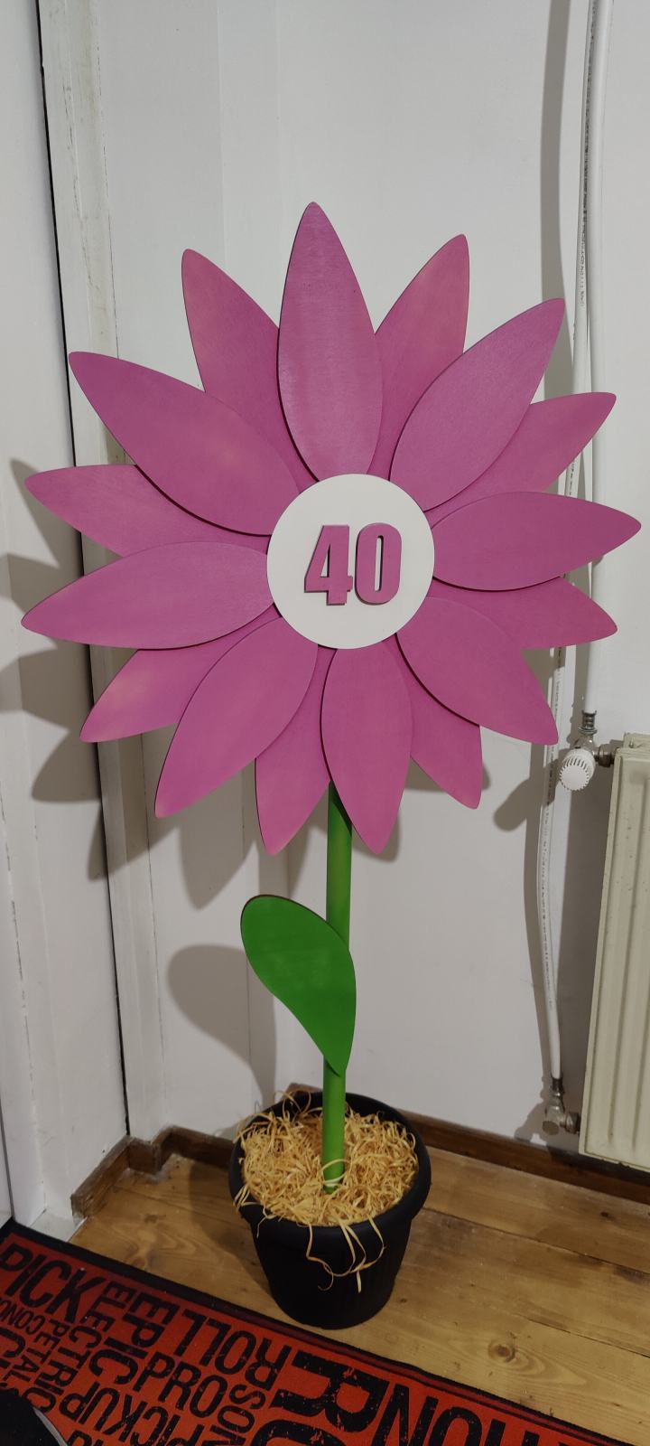 Mlaj - roža za 40 let (praznovanje, presenečenje)
