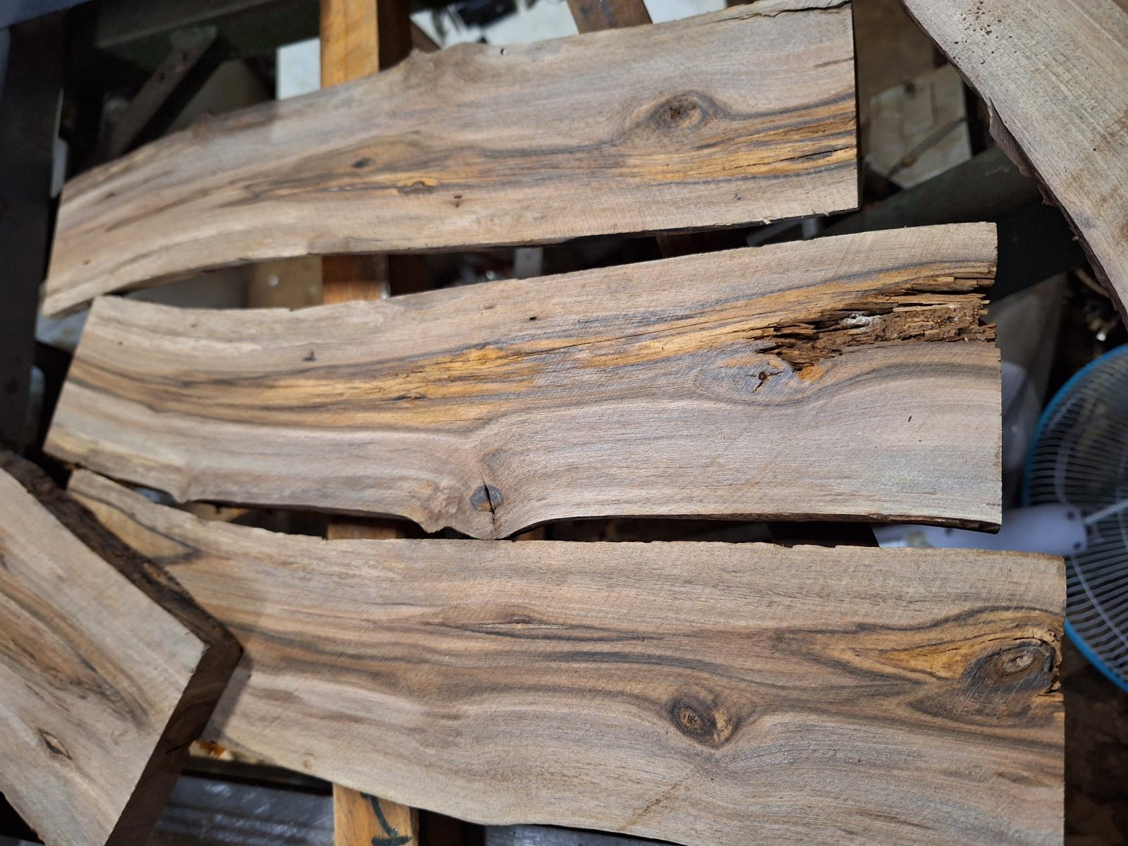 Les oreh zelo lepe teksture 65 do 35x8 do 13x2 cm 1 kos 1.5 do 3, vseh