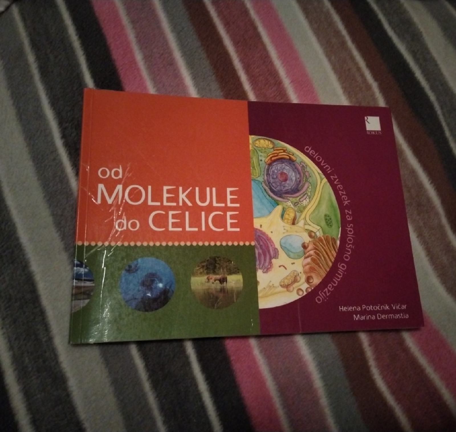 od molekule do celice