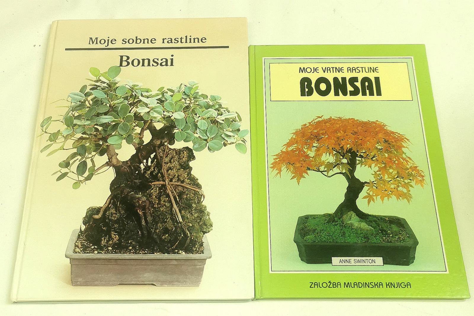 BONSAJ - BONSAI - MOJE SOBNE RASTLINE