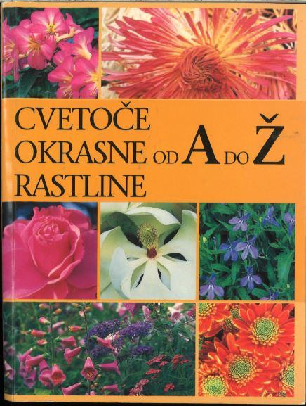 Cvetoče okrasne rastline od A do Ž