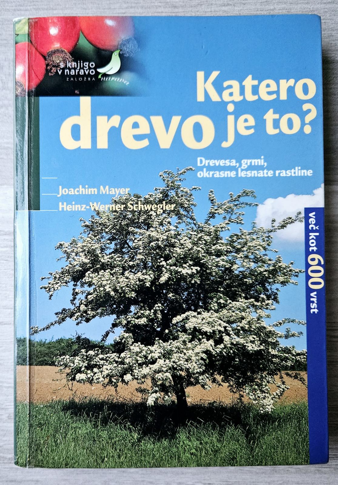 KATERO DREVO JE TO? Joachim Mayer