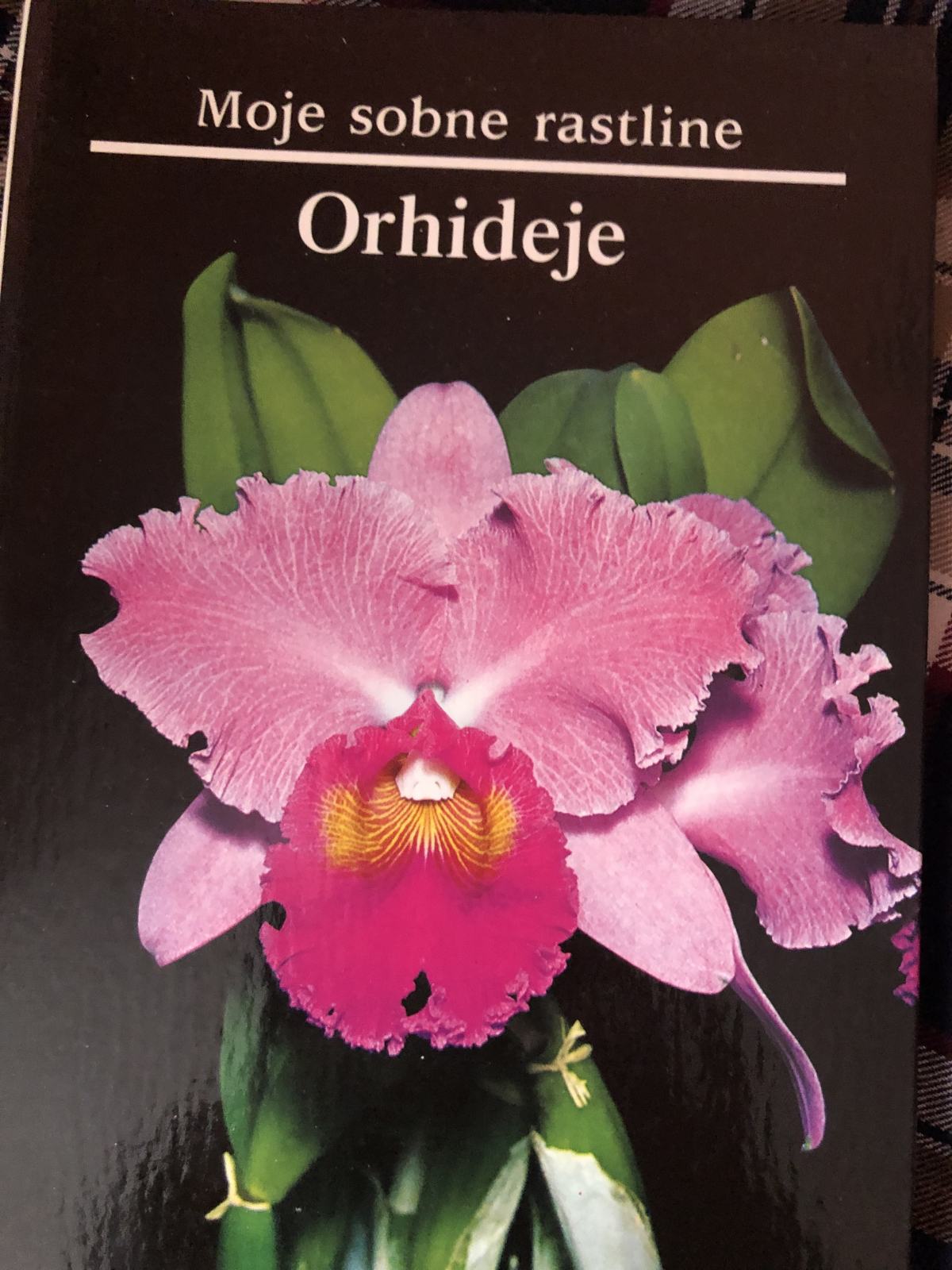 Orhideje