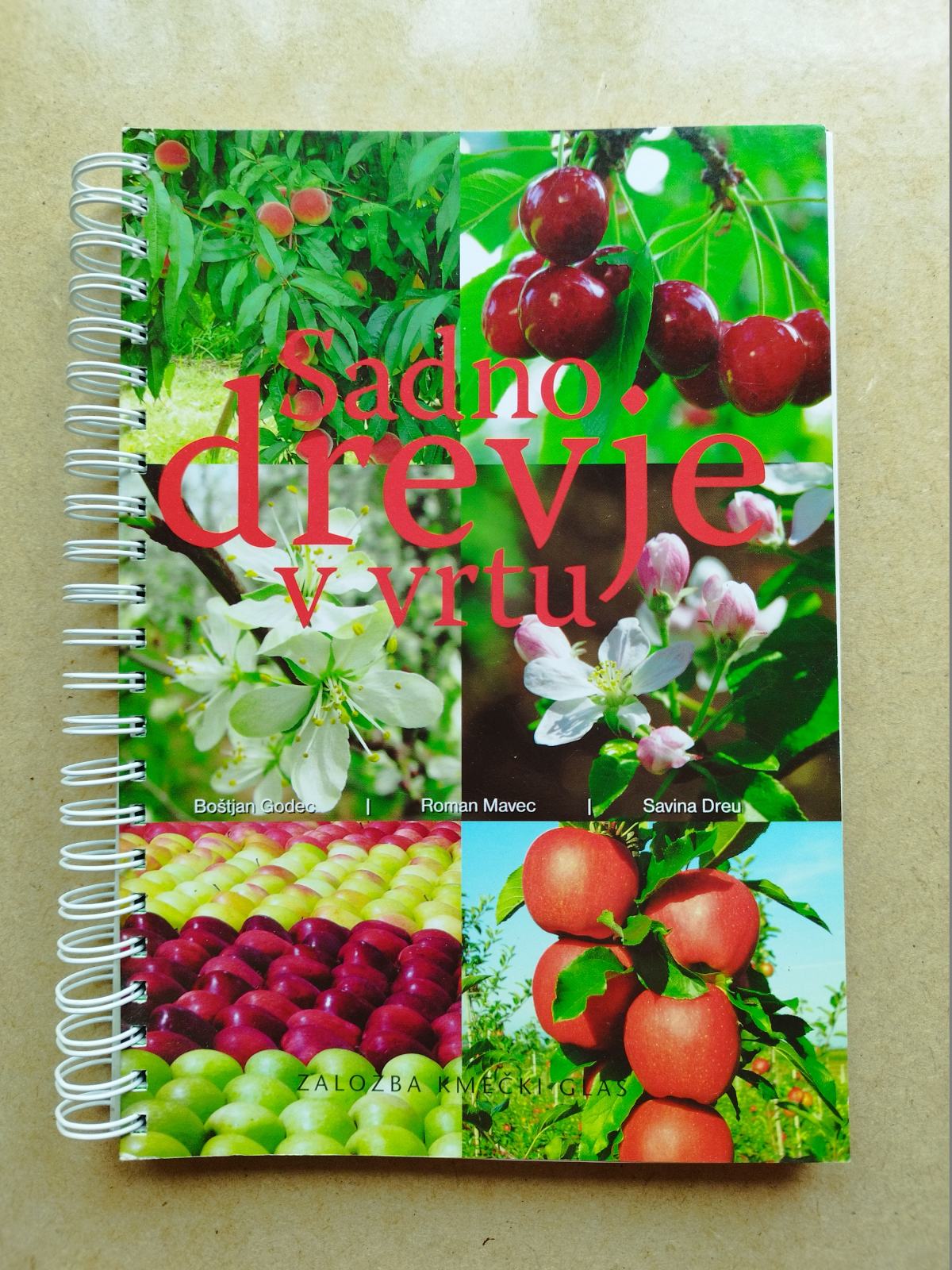 SADNO DREVJE V VRTU, Boštjan Godec, Roman Mavec, Savina Dreu
