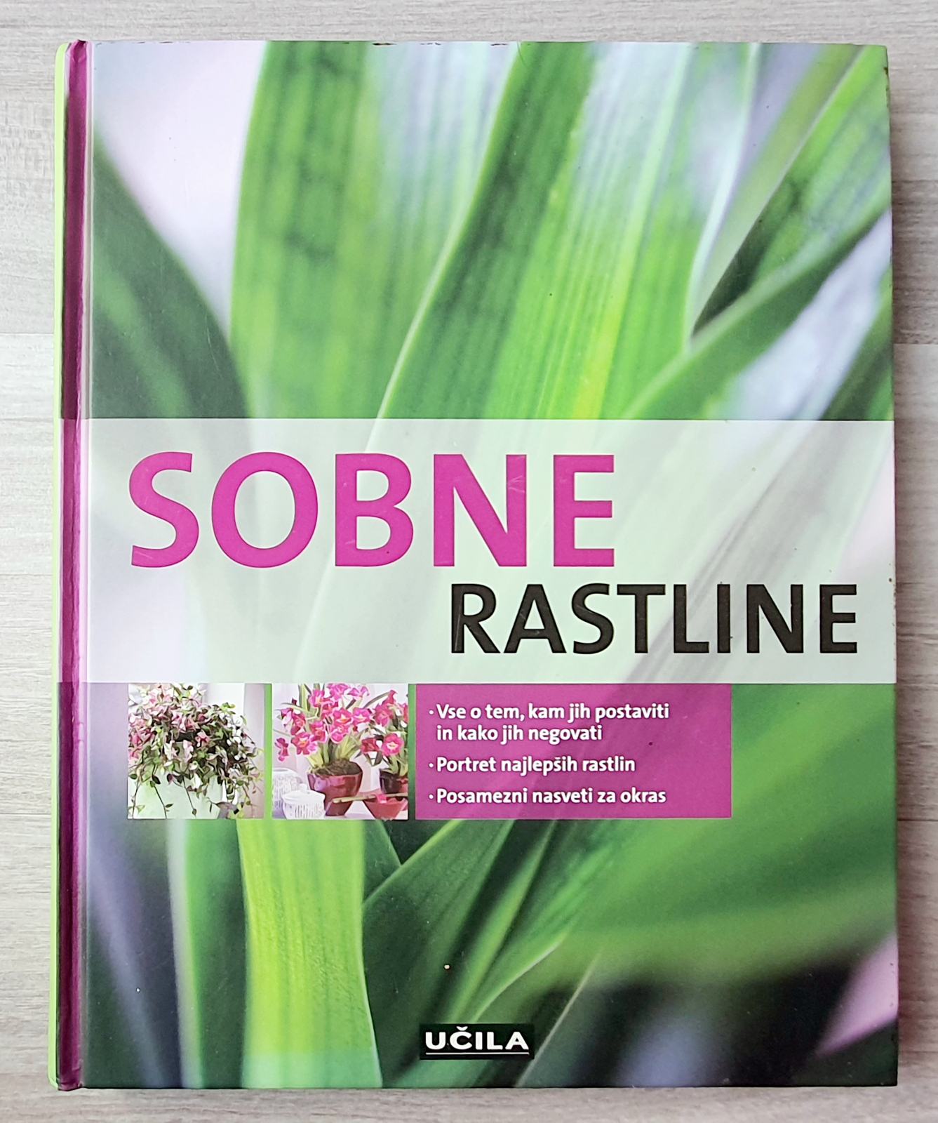 SOBNE RASTLINE