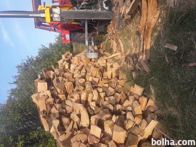 Drva hrast ali bukev