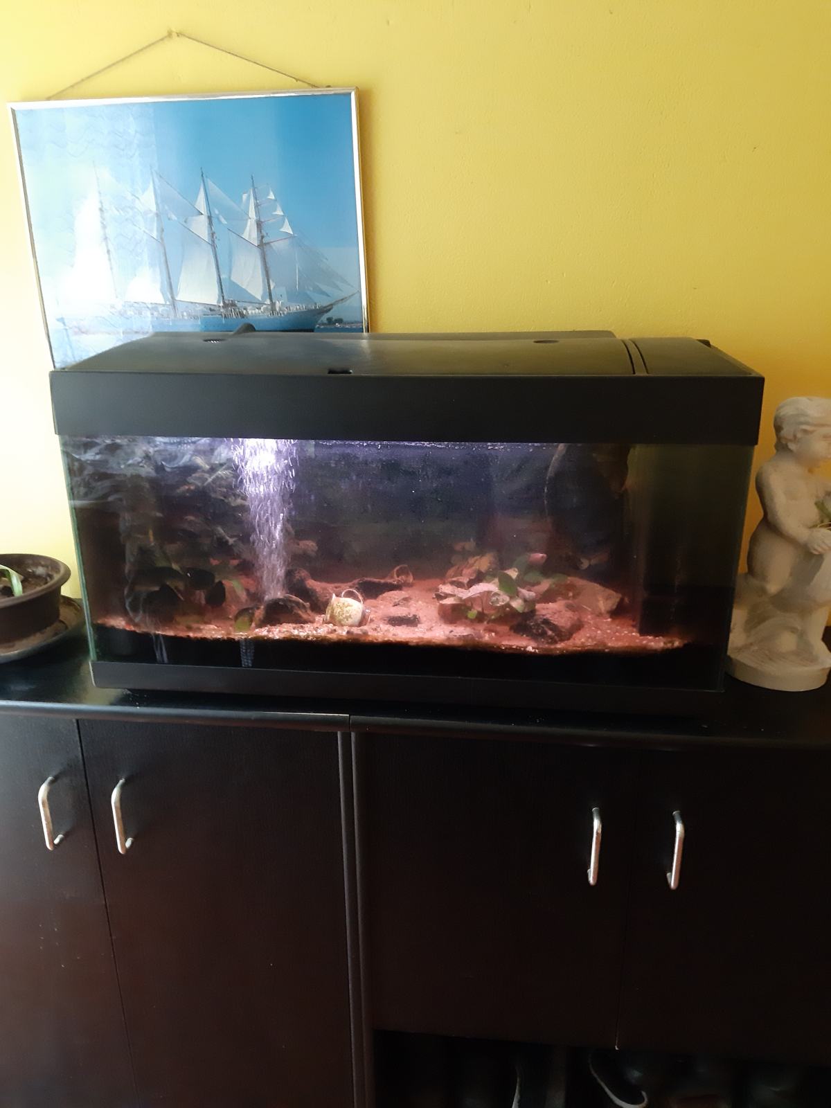 Opremljen 100 l akvarij