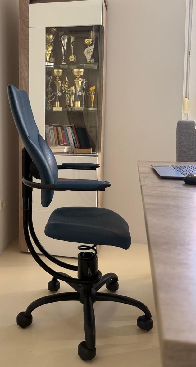 Pisarniški stol Spinalis Apollo