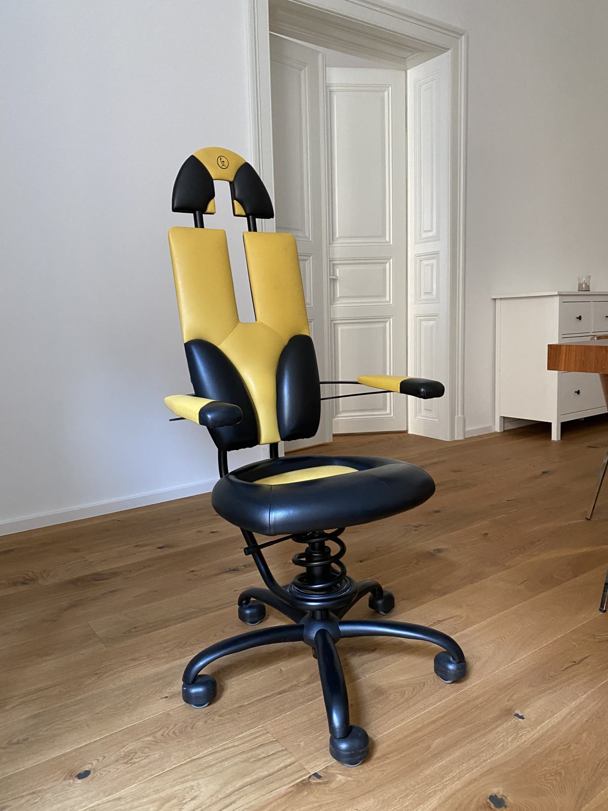 Pisarniški stol SPINALIS PILOT