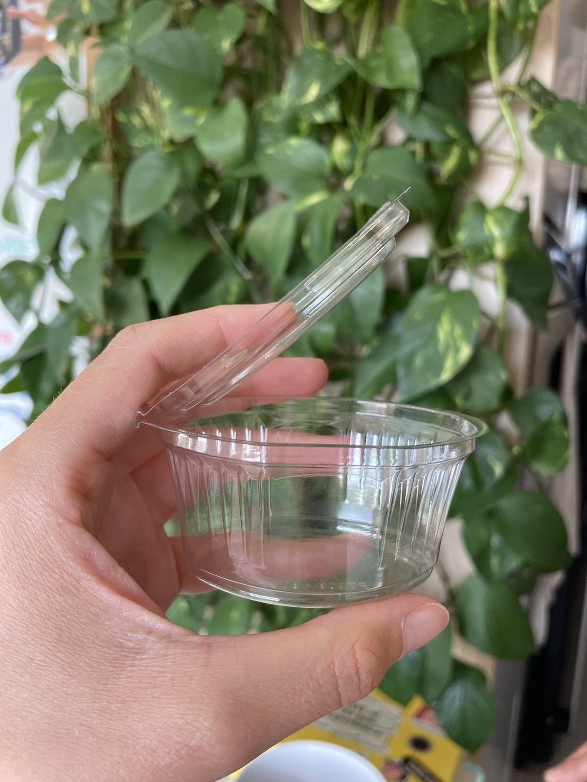 Posodice za omake 80 ml s pokrovom, 600 kos