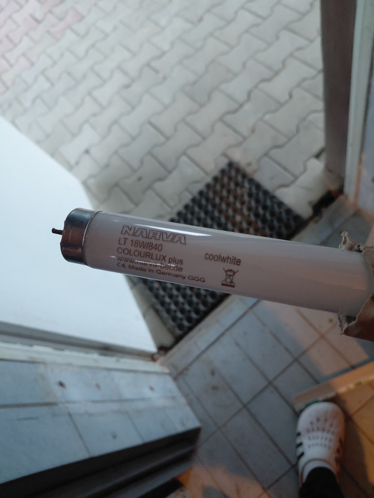 Prodam neonke 2€ kom.