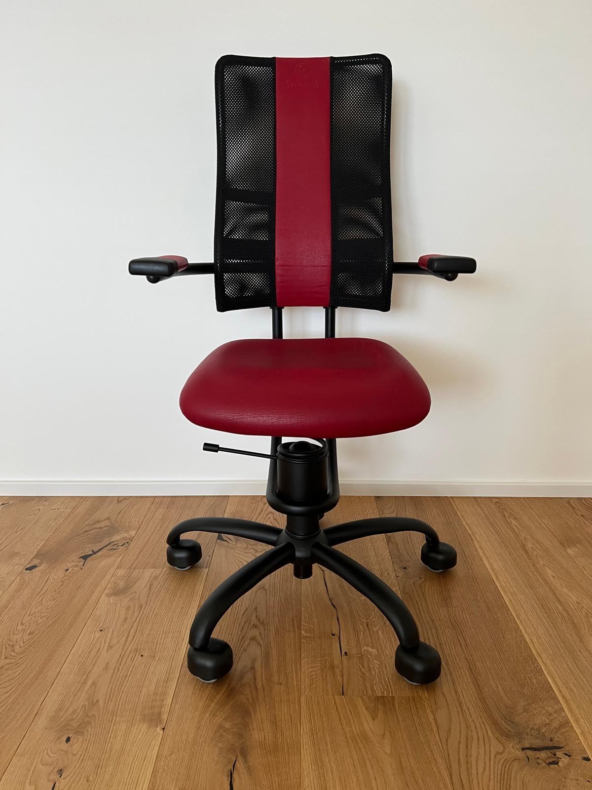 Stol Spinalis Hacker, 2x