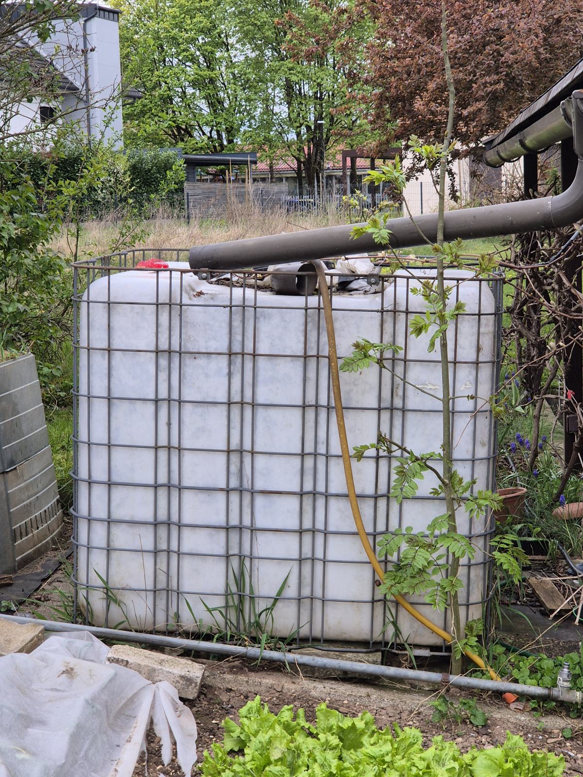 Podarim zbiralnik deževnice