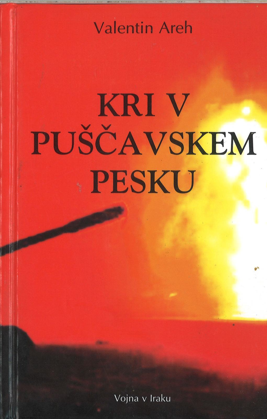 Kri v puščavskem pesku : vojna v Iraku / Valentin Areh