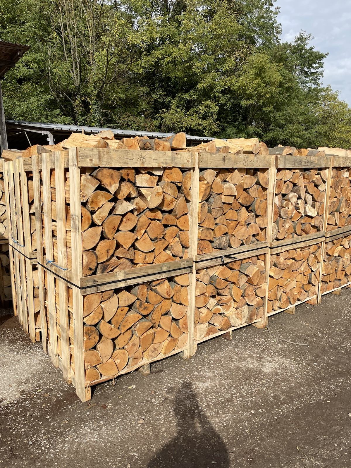 Bukova drva na paleti