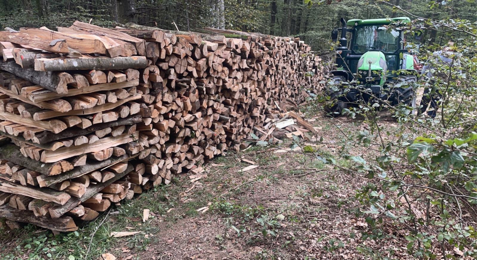 PRODAM DRVA (bukev, hrast, gaber)