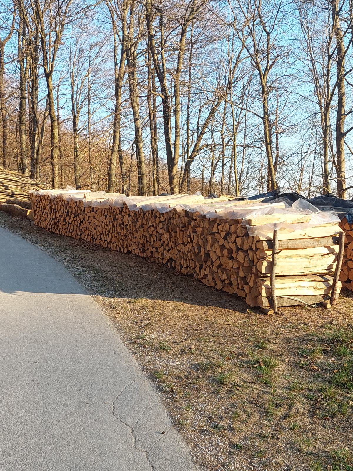 Prodam suha bukova in gabrova drva