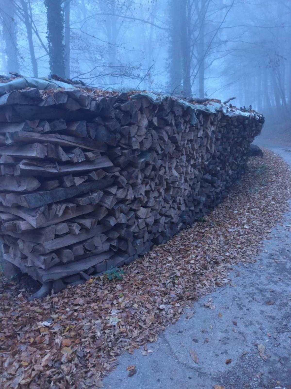 Suha bukova in mešana drva