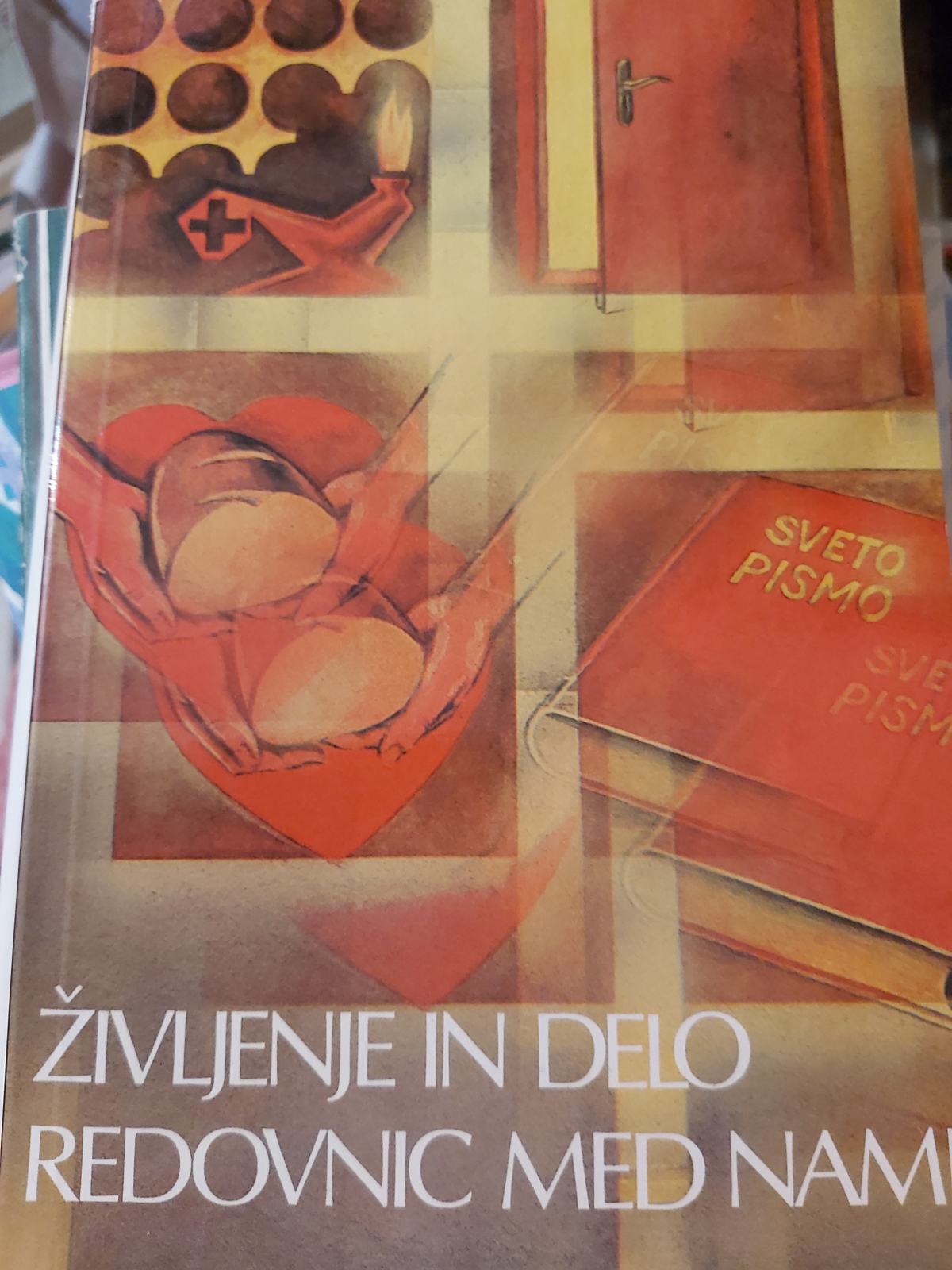 ŽIVLJENJE IN DELO REDOVNIC MED NAMI