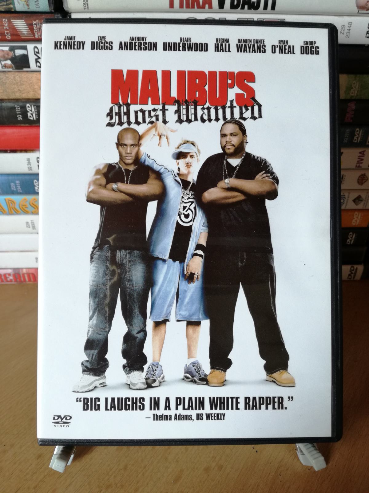 Malibus Most Wanted (2003)