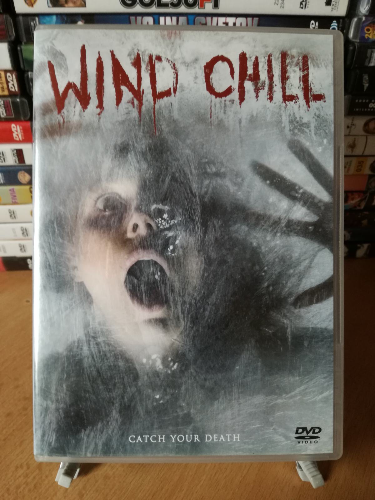 Wind Chill (2007)
