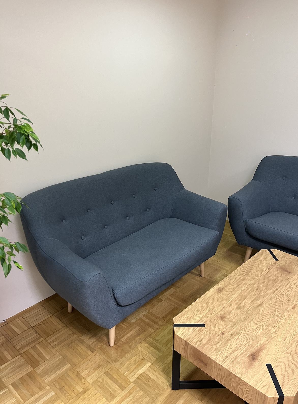 Dvosed / sedežna garnitura / kavč