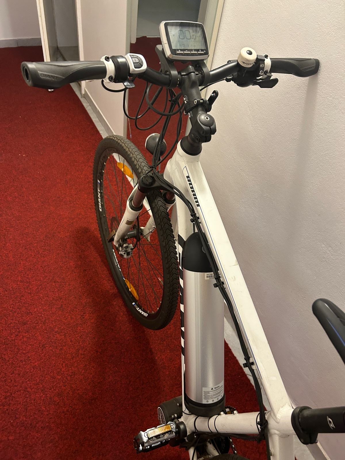 Giant roam predelano elektricno kolo