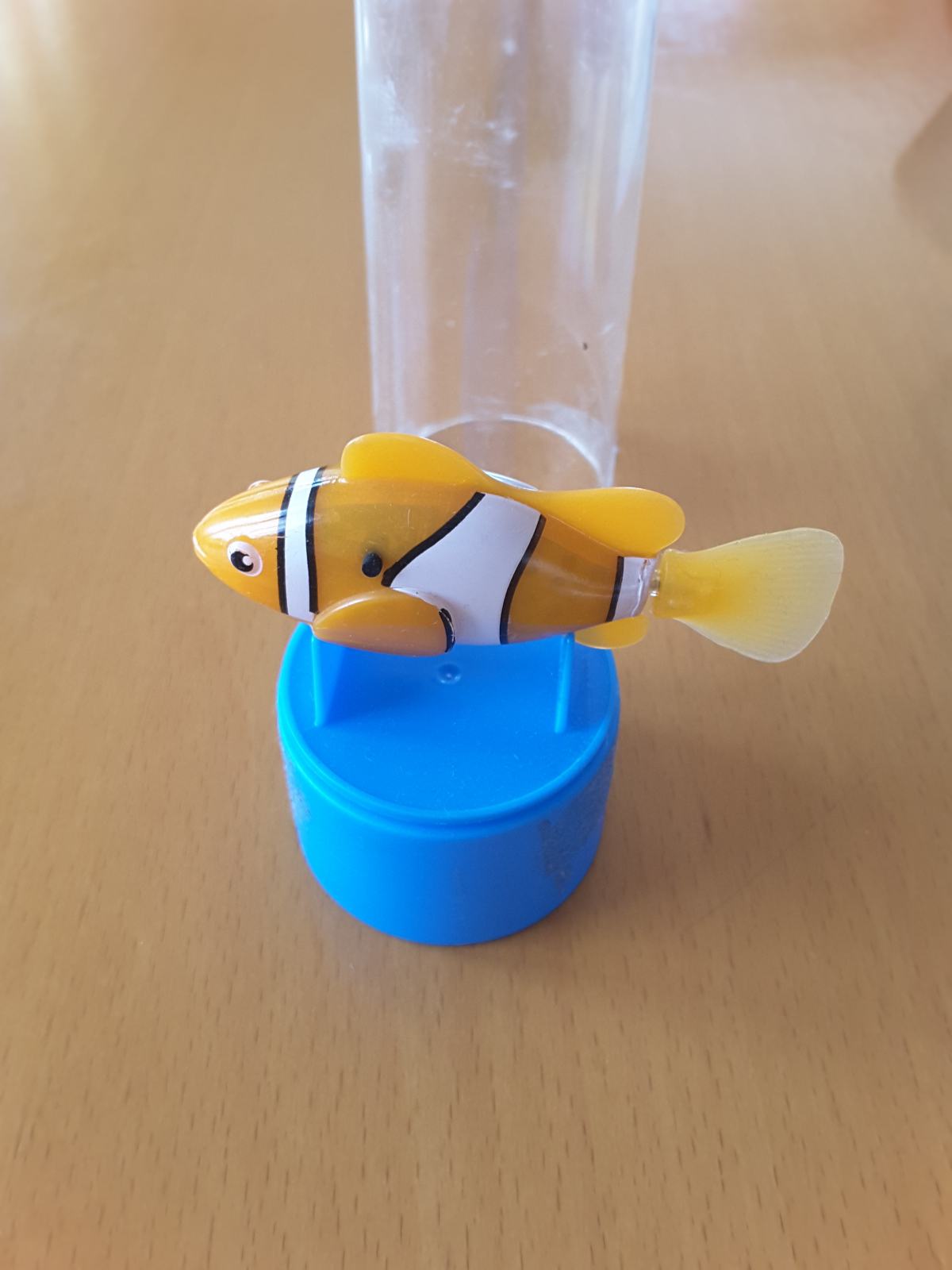 Riba, robo fish, nemo