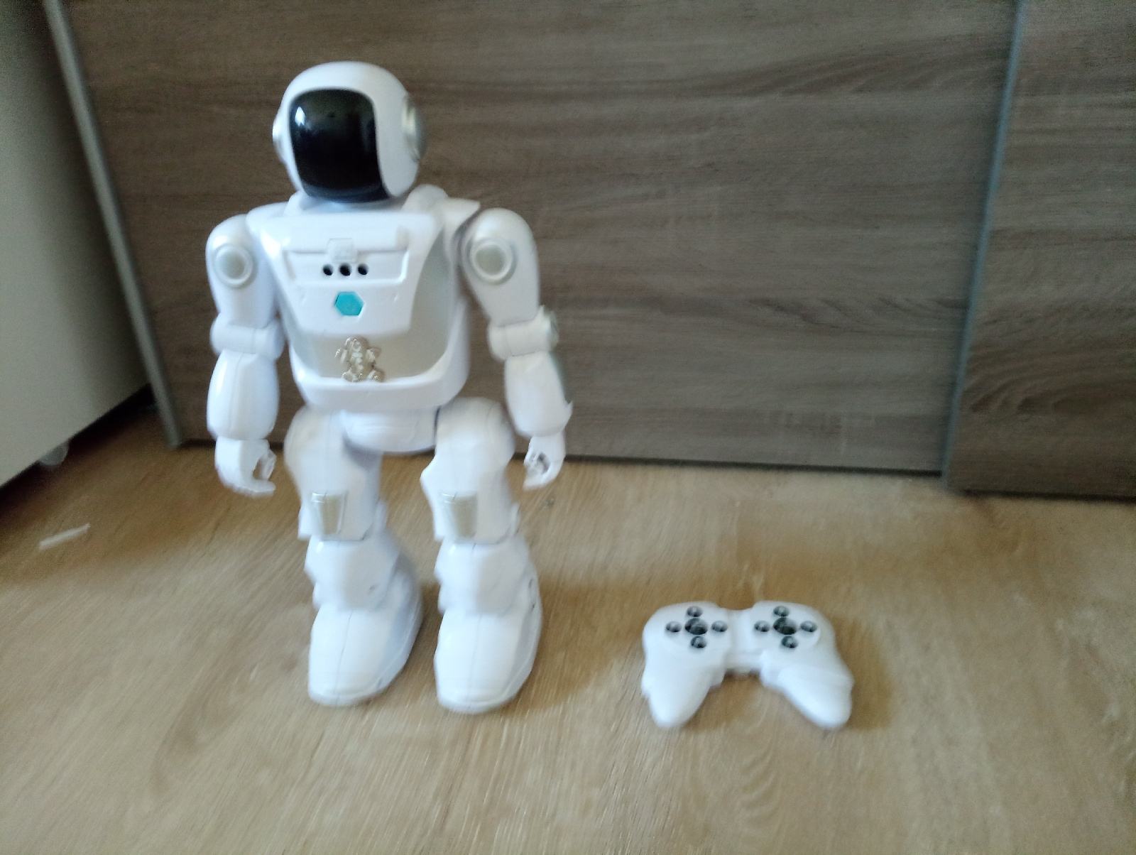 Robot