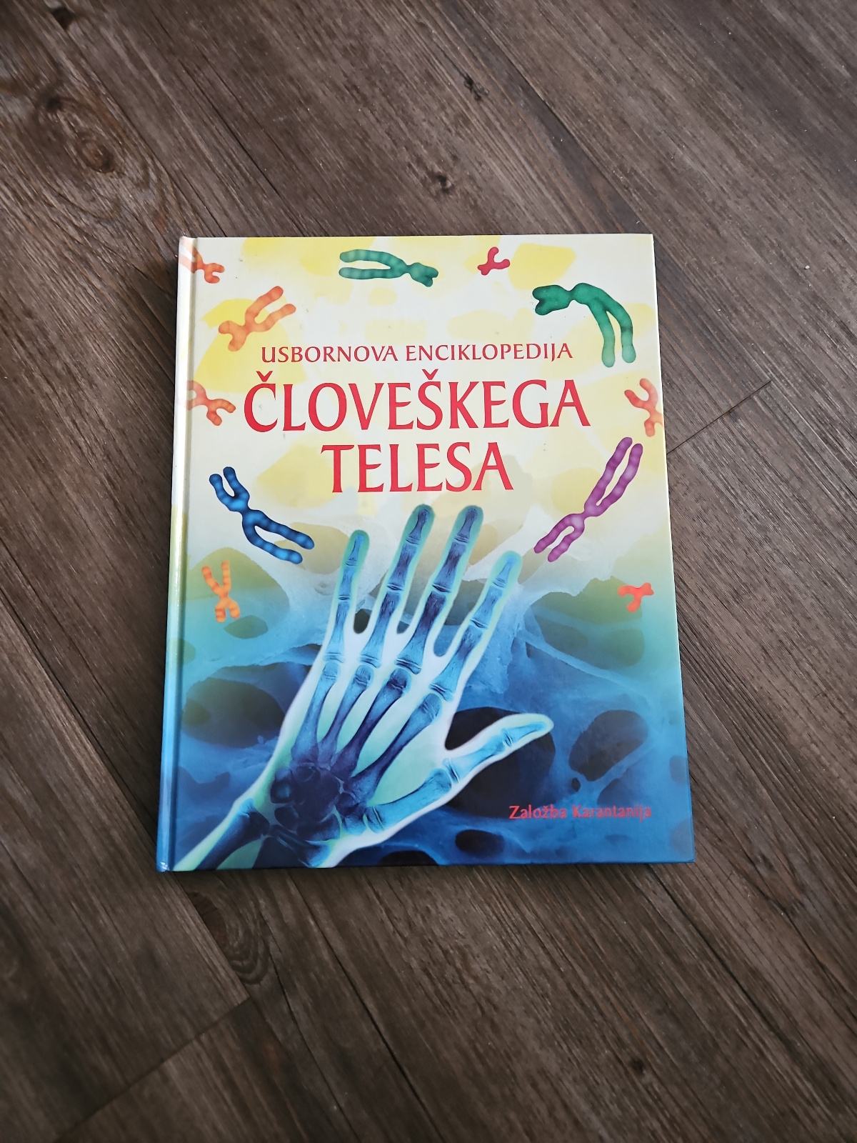 Usbornova enciklopedija človeškega telesa