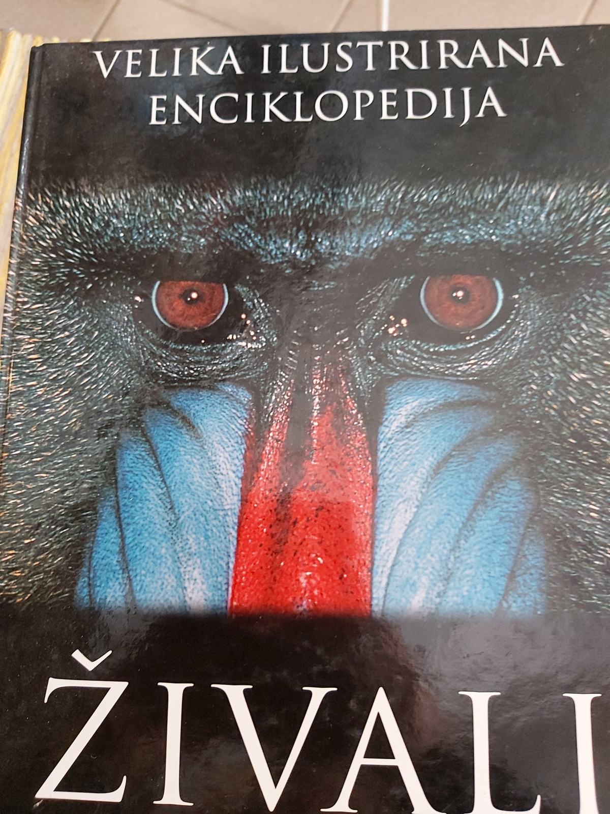 VELIKA ILUSTRIRANA ENCIKLOPEDIJA ŽIVALI