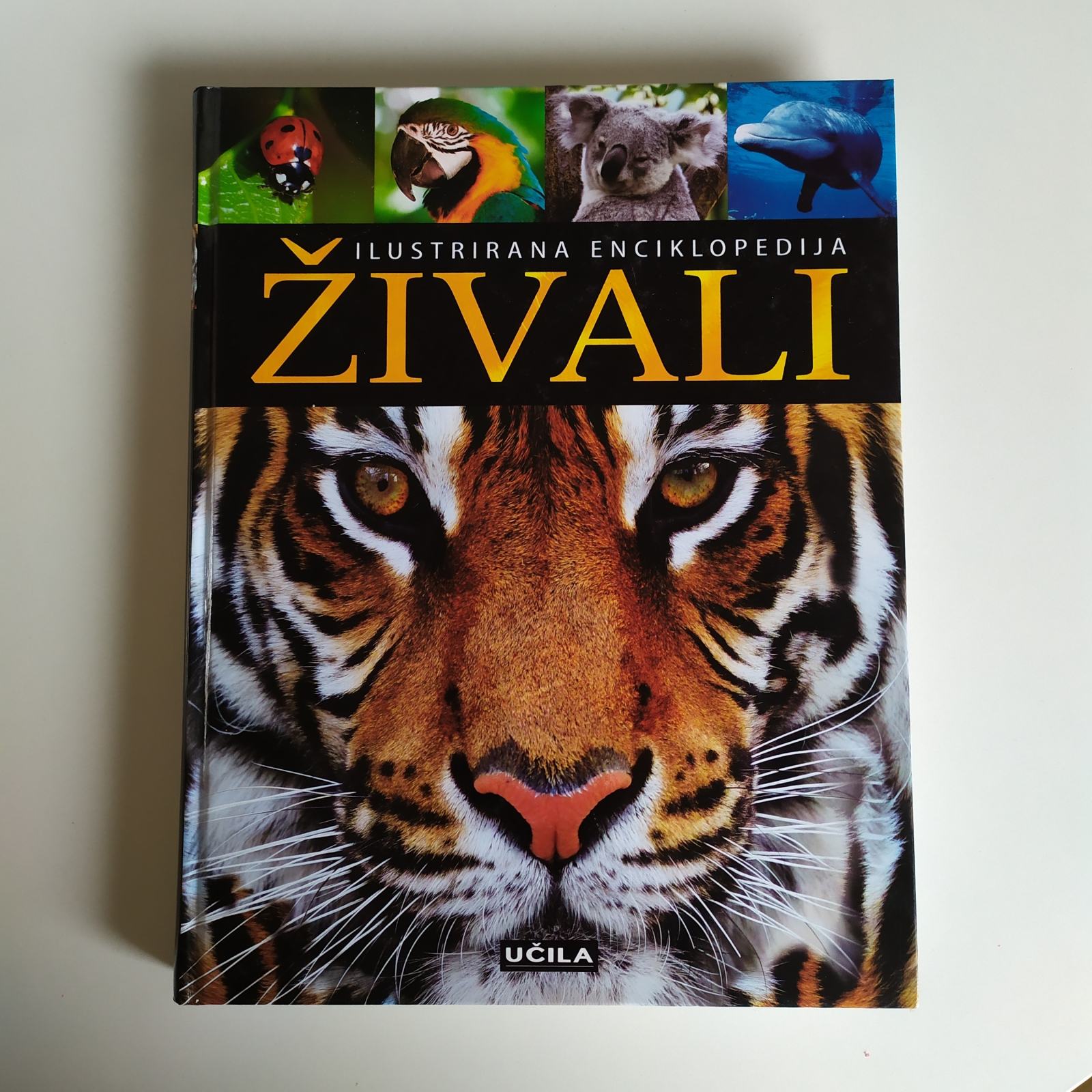ŽIVALI: Ilustrirana enciklopedija