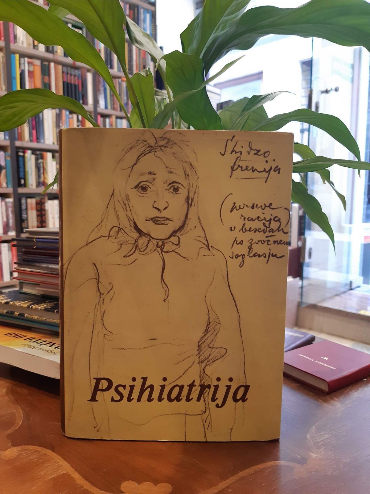 Lev Milčinski: Psihiatrija