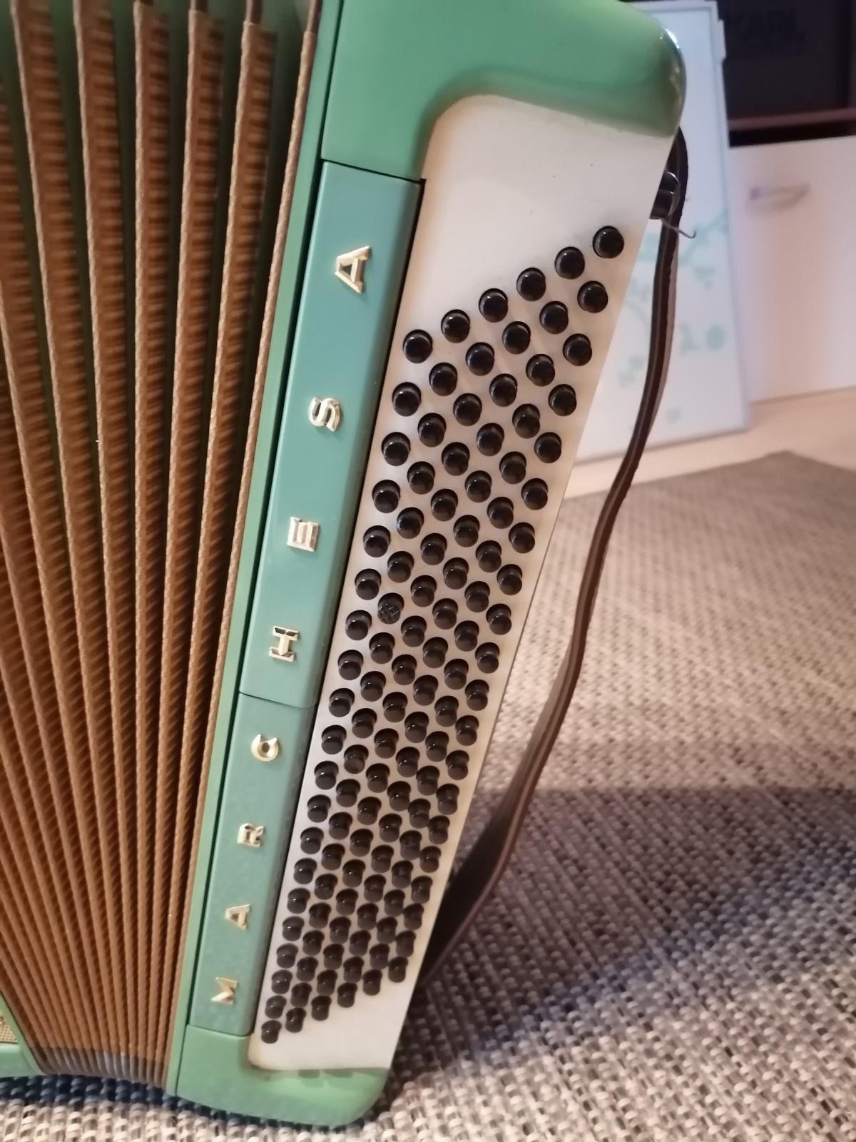 Hohner marchesa harmonika 120 basna