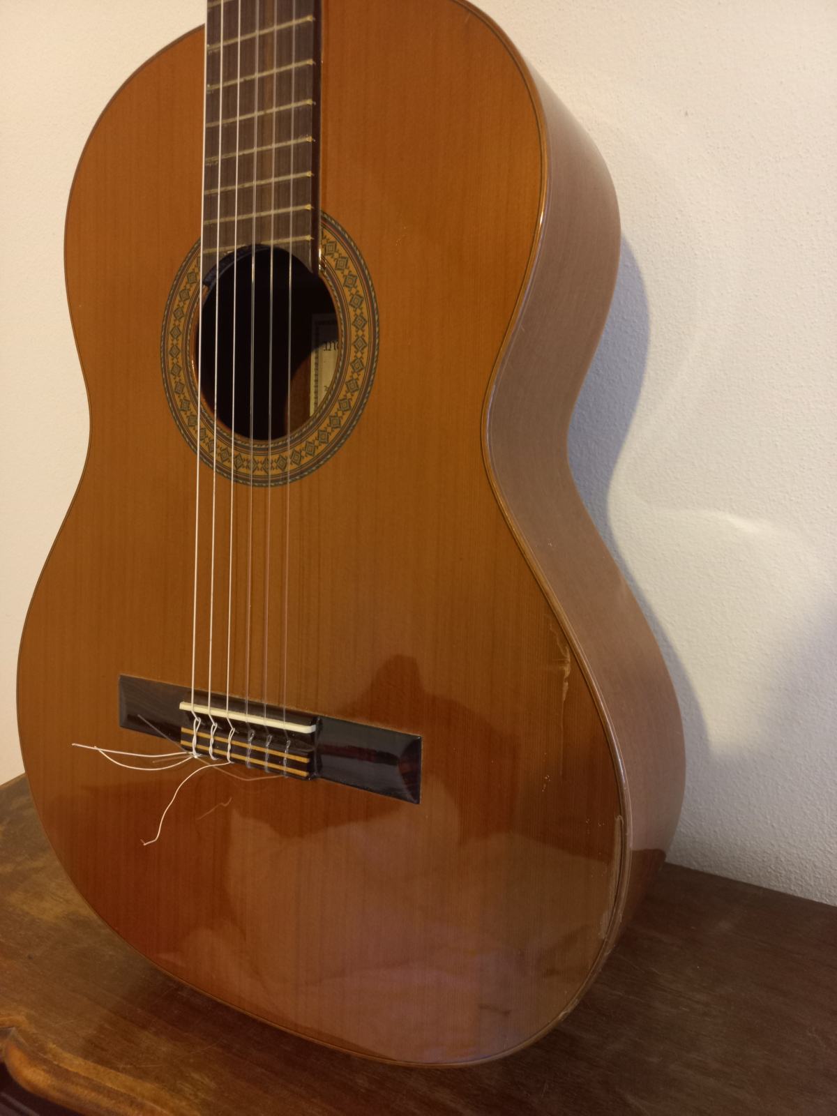 Klasična kitara Antonio Sanchez 1010