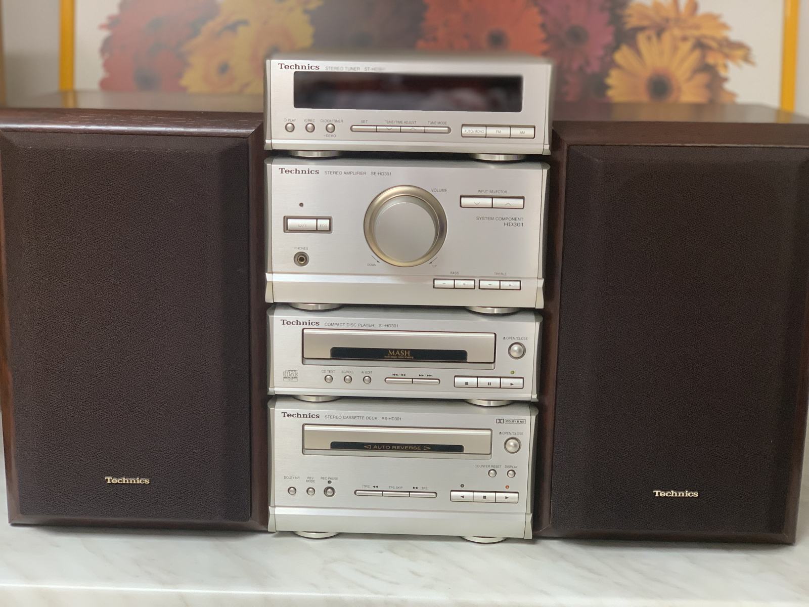 Technics SE-HD301 Mini HiFi System