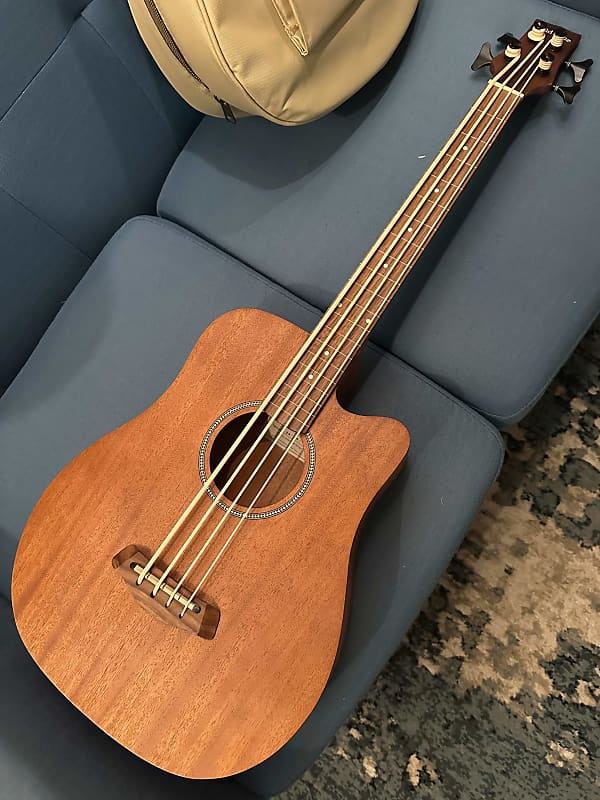 Gold Tone Micro Bass 25 Fretless