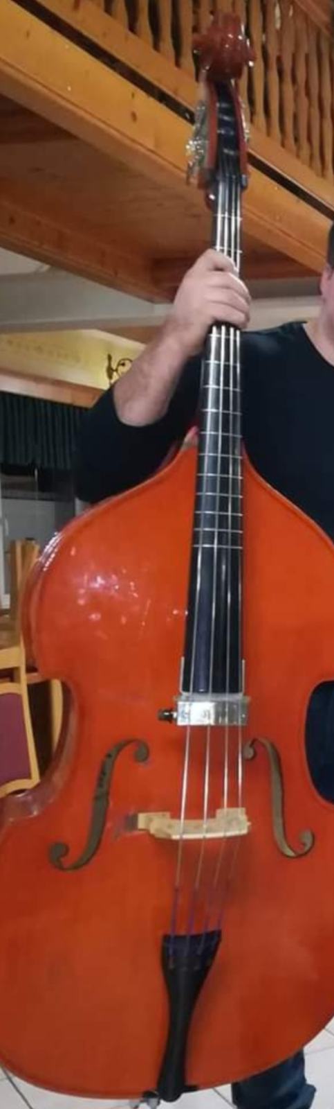 Kontrabas 1/4 schaller magnet