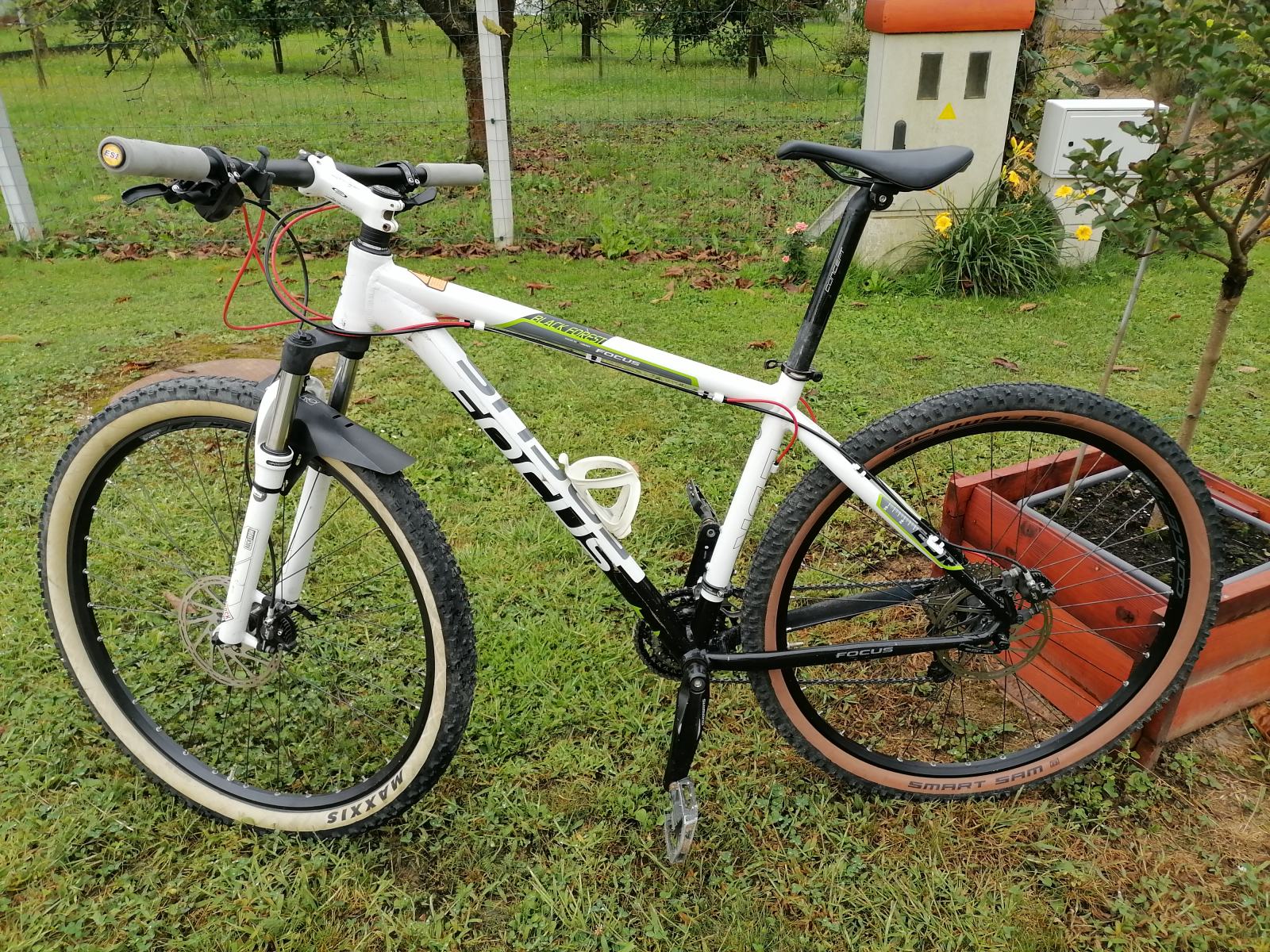 Focus Black Forest 3.0 29R