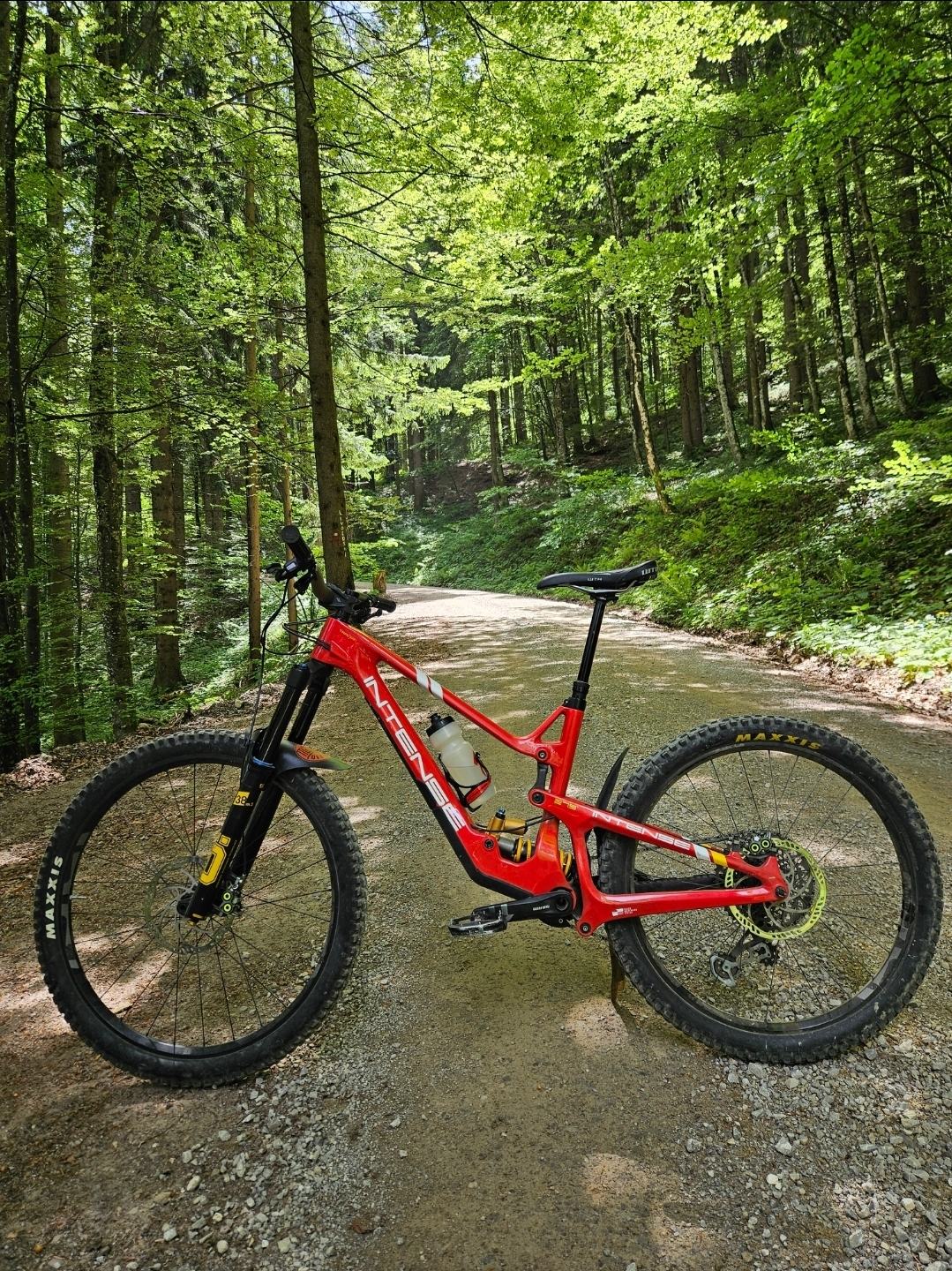 Intense tracer 279S mullet