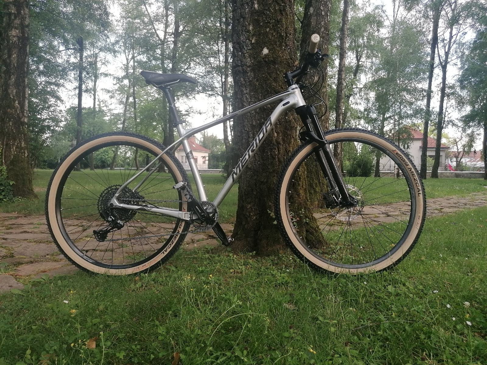MERIDA BIG.NINE NX edition, 29er, L