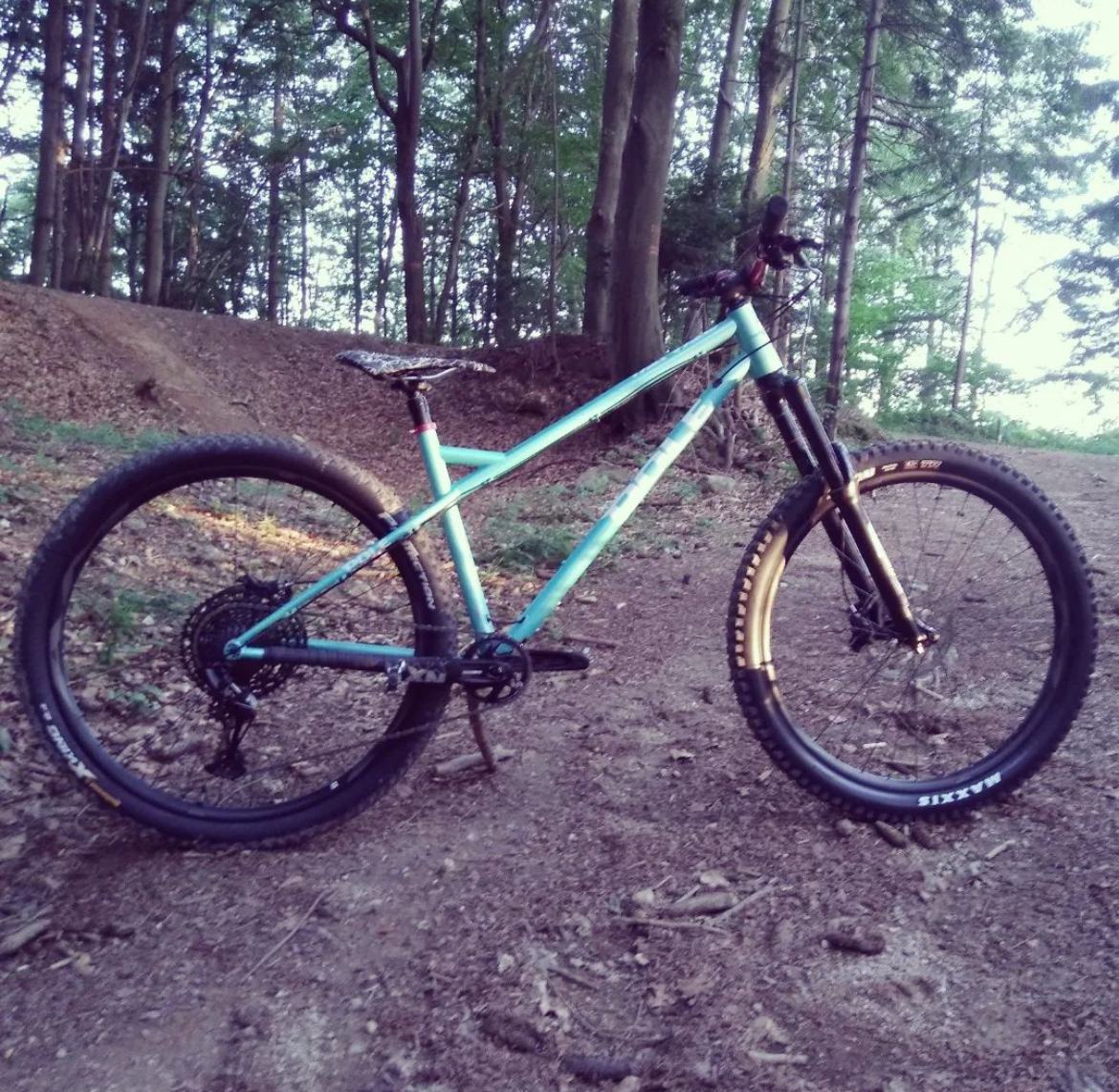 Pole Taival hardtail