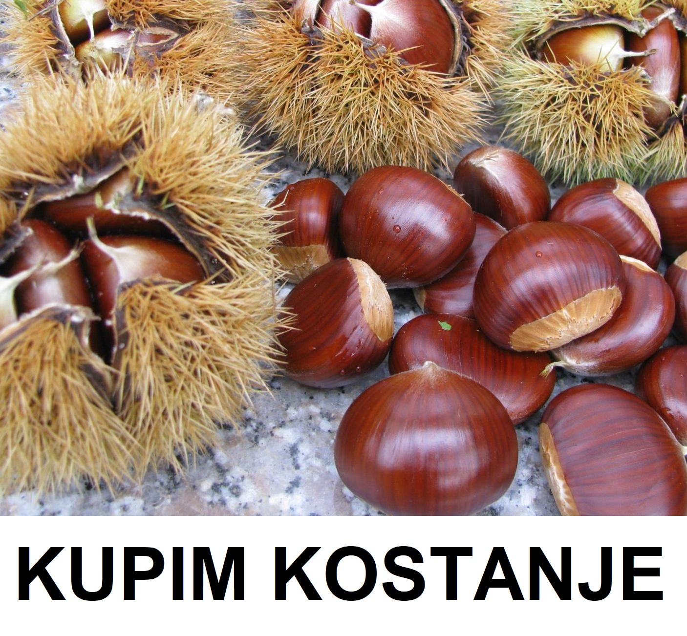 KUPIM kostanj