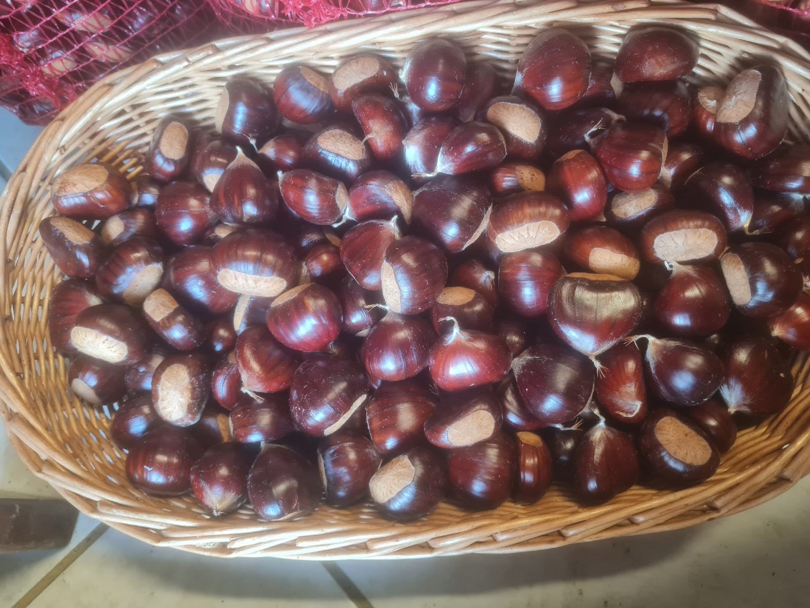 Sveže nabran kostanj