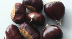 Ugodno prodam kostan