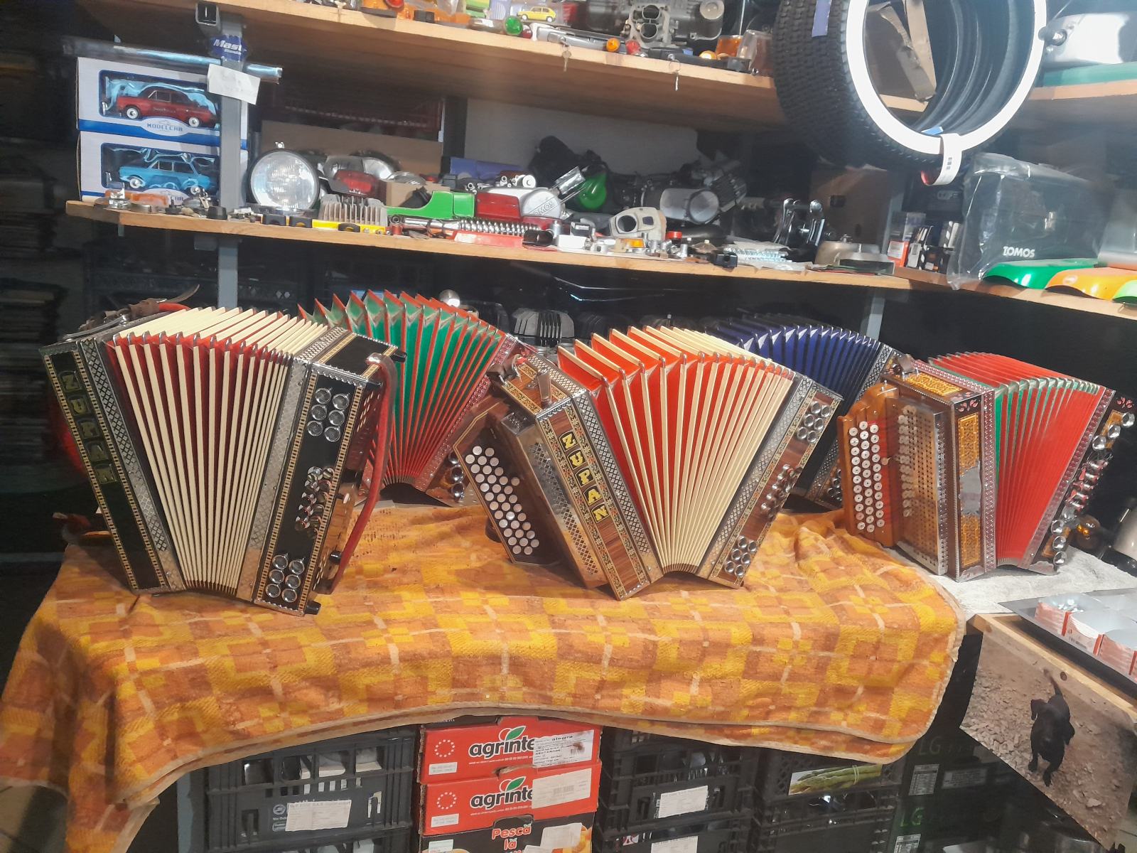 Diatonična-deli starejših harmonik,menjava glasilk durov in harmonike