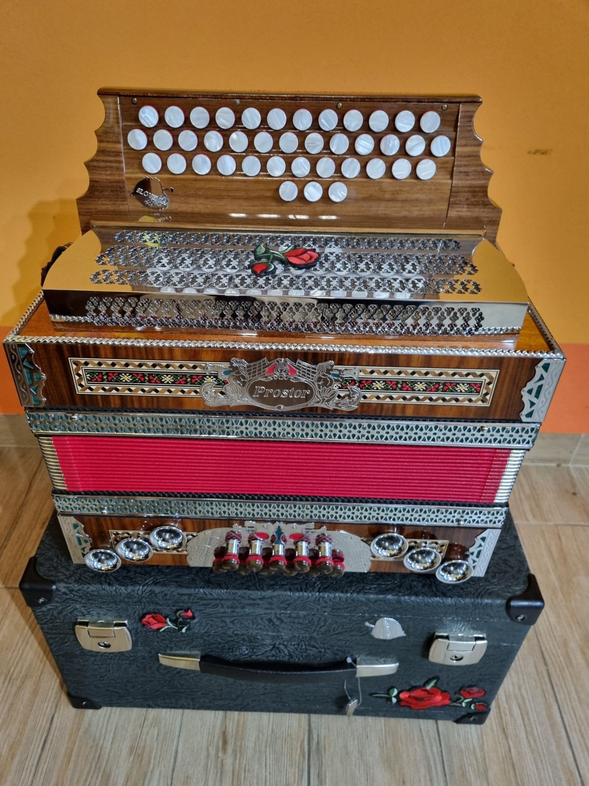 DIATONIČNA HARMONIKA PROSTOR